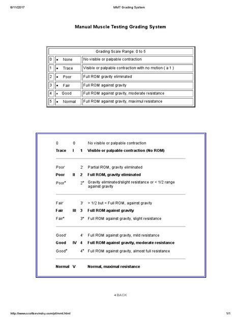 Manual Muscle Testing Grading System Pdf