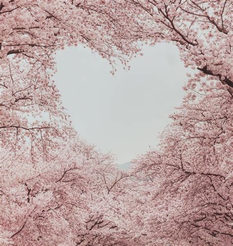 Chloe 내가 정신과의사라고 하면 많은 사람들이 환자들 힘든 이야기 하루종일 그것도 매일 들으면 너무 힘드시겠어요 내지 감정노동 많이 하시겠어요 이런 반응들을 보이는