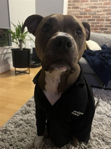 Matthew Binns On Linkedin The Hoat