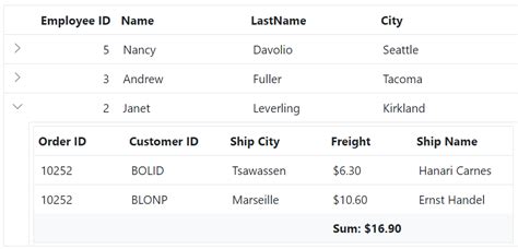 Hierarchy Grid In Syncfusion Aspnet Core Grid Component