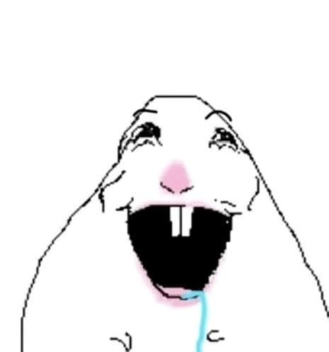 Happy Hamster Meme Happy Hamster Ищите  файлы и обменивайтесь ими