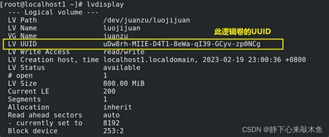 linux lvm逻辑卷 lvm pdf csdn博客