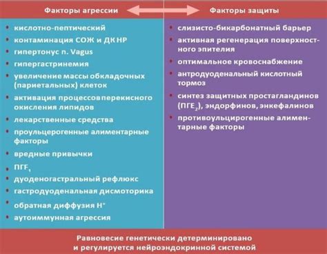 Гастропротекторы: классификация, список популярных препаратов, что лечат