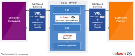 Guiding Principles For Using Tmforum Open Apis Vs Mef Apis Open Apis