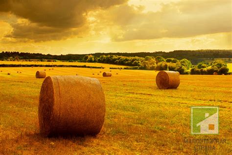 Земли сельхозназначения что это значит как можно использовать виды