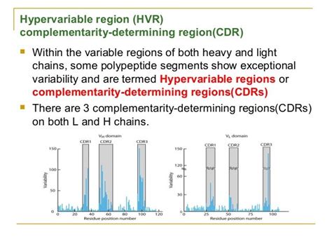 G2014 Immuno~ 3antibody Lyj