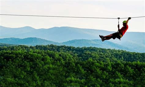 Best Zipline Activities At Luis Silva Blog