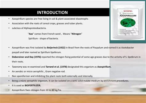 Azosprilum2 Pptx