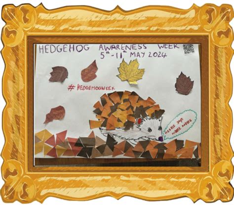 Hoggy Hall Of Fame An Art Gallery For Young Hedgehog Fans The