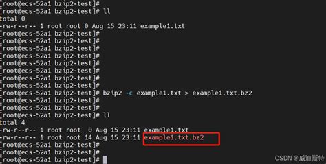 Linux文件文档工具:文件压缩和解压缩命令bzip2详解 Csdn博客 Linux文件文档工具:文件压缩和解压缩命令bzip2详解 Csdn博客