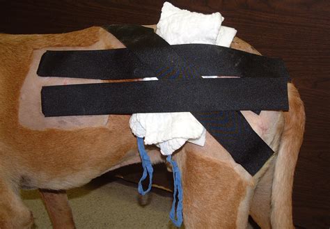 Reconstruction Tension Relieving Techniques — Dr Julius M Liptak