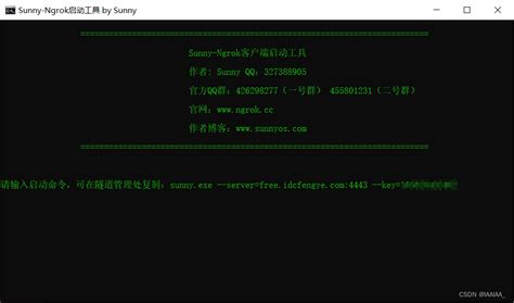 基于内网穿透实现jenkins的webhook连接gitee 配置webhook 需要域名或者公网的ip如何实现转化 Csdn博客