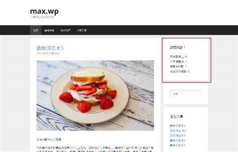 Wordpress Plugin Wp Statistics 網站訪客統計外掛程式 麥克斯與沃普雷司