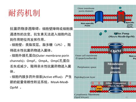 细菌耐药性与耐药机制研究进展 抗感染、免疫调节 专题讲座 湖南药事服务网