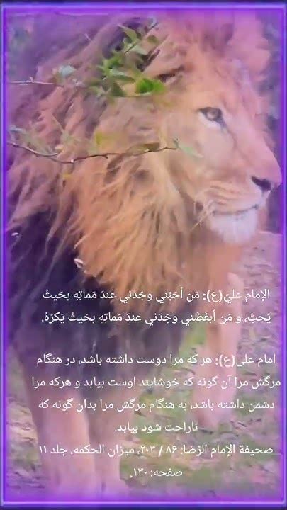 من اقوال امیرالمؤمنین علی ابن ابیطالب علیه السلام Youtube