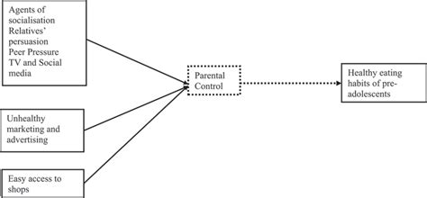 Conceptual Framework Showing The Interrelationships Between The Studys