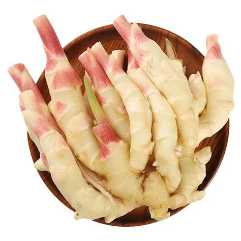 山东嫩姜仔姜生姜鲜姜红芽姜新鲜姜芽做泡糖醋姜黄姜时令应季蔬菜 2斤精品嫩仔姜【价格、品牌、报价】 1号店 花瓣网