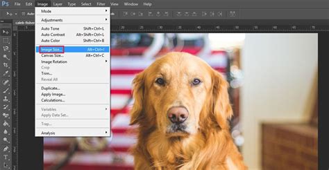 Mục đích Resize Layer Là Gì Cách Resize Layer Trong Photoshop