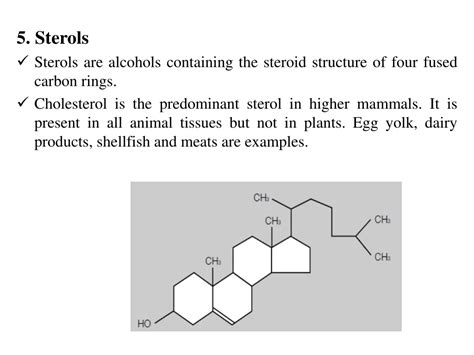 Ppt 3lipids Powerpoint Presentation Free Download Id13359338