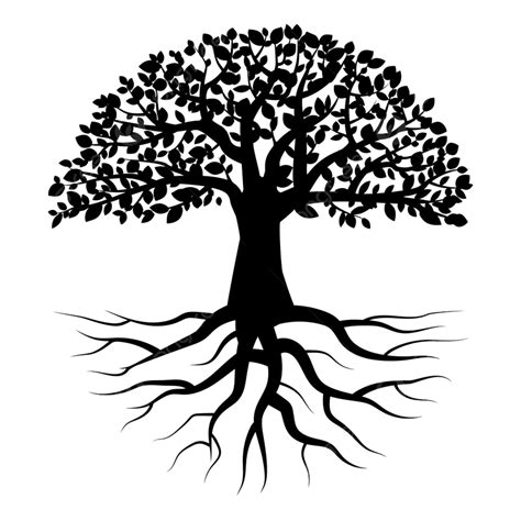 Tree Roots Drawing Png
