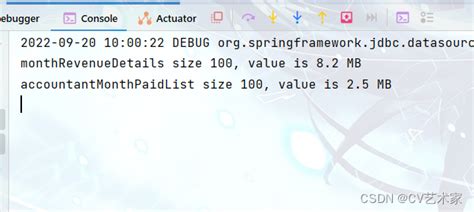 Java 获取对象占用内存大小查看内存 Lucene Core Csdn博客