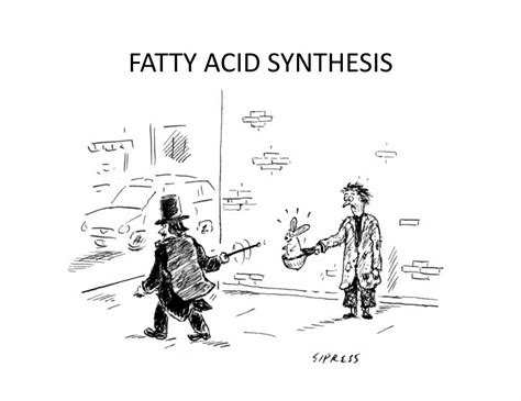 Pdf Biochemistry 2015 Fatty Acid Synthesis Lecture Notes