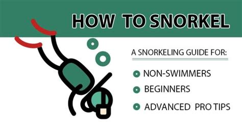 Snorkel Mouthpiece Guide Types Fitting And Replacement Aquaticglee