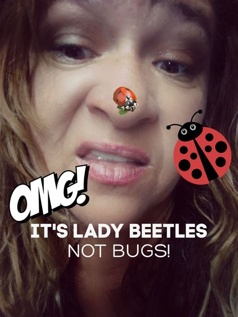 The Goog Bugs For Your Garden Lady Beetle Bugs Beetle