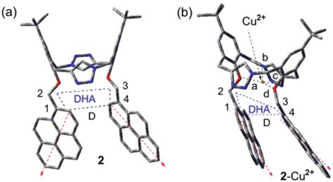 Optimized Structures Of A 2 And B The Cu 2 Complex With 2