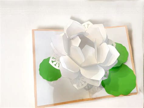 Lotus 3d Greeting Card By 2d模型小王子 Makerworld Download Free 3d Models