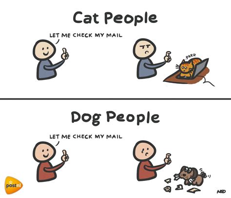 9 Hilarious Comics That Accurately Depict Difference Between Cats And