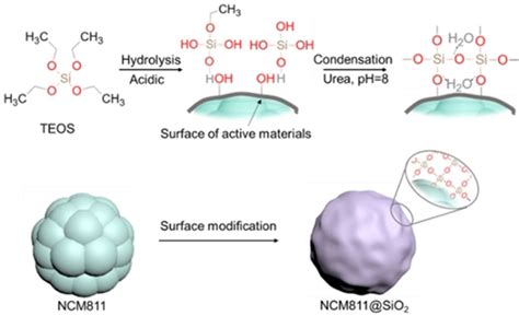 Schematic Diagram Of Formation Process Of Sio2 Coating Ncm811 Download Scientific Diagram