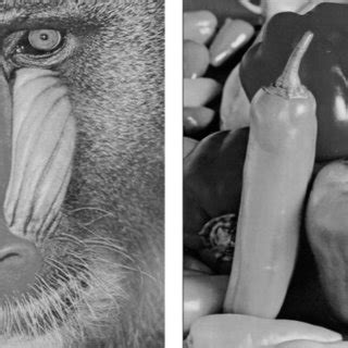 PSNR Value Comparison Against Different Payload On Test Images Download Scientific Diagram