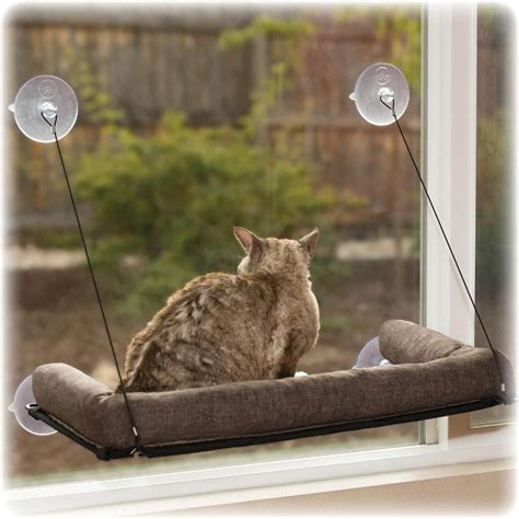 9 Best Cat Window Perches And Beds In 2026 Reviews And Top Picks Catster
