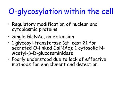 Ppt Post Translational Modifications Powerpoint Presentation Free Download Id 3370443