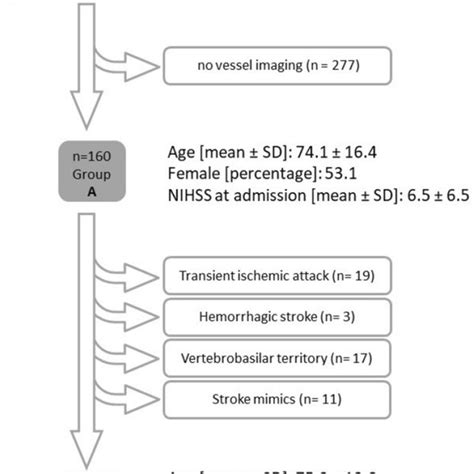 Flowchart Describing The Allocation Of The Stroke Patient Cohort Into