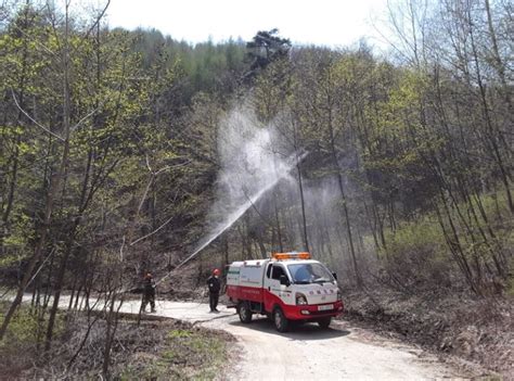 북부지방산림청 산림병해충예찰방제단 조기선발