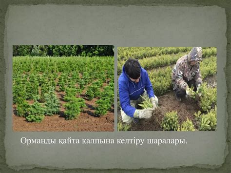 6 Презентация ЗЖ Pptx