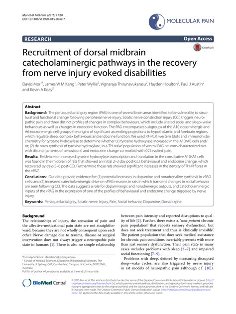 Pdf Recruitment Of Dorsal Midbrain Catecholaminergic Pathways In The