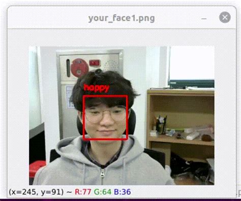 GitHub Hhlee Facial Expression Recognition