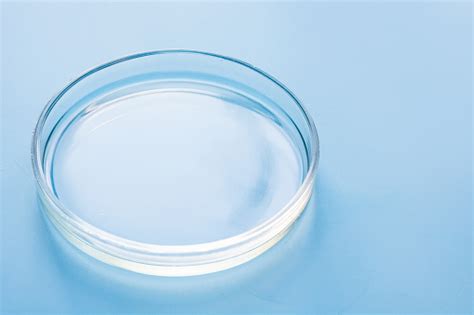 블루에 실험실에서 페트리 접시 화학 실험 닫아 페트리 접시에 대한 스톡 사진 및 기타 이미지 페트리 접시 그릇 0명 Istock