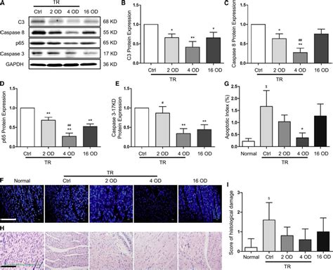 Javascript Spreadsheet Library With Javascript Spreadsheet Library
