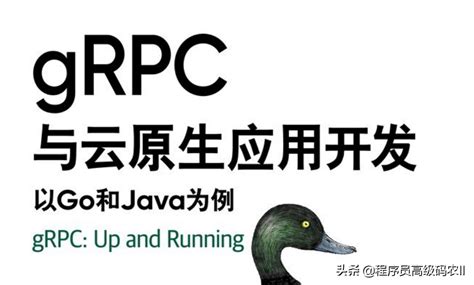 封神，谷歌架构师分享 出grpc 与云原生应用开发 Go 和 Java 为例文档 Grpc与云原生应用开发 Csdn博客