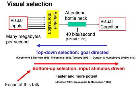 Ppt A Bottom Up Visual Saliency Map In The Primary Visual Cortex