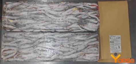 Capelin Wr 1 Class 122