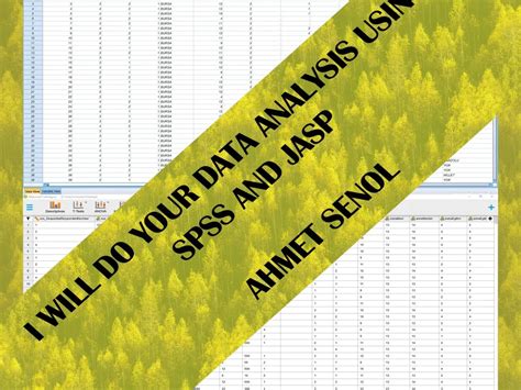 Your Data Analyzed Using JASP Or SPSS Upwork