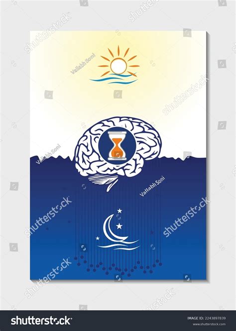 Day Night Cycle Scheme Daily Human Stock Vector Royalty Free Shutterstock