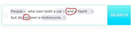 Usability Natural Language Search With Boolean Inputs User