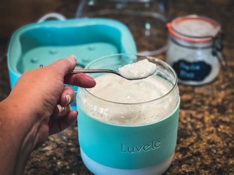L Reuteri Yogurt In Luvele Yogurt Maker Recipe Yogurt Maker