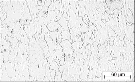The Microstructure Of The Alloy After Plastic Deformation At 1150